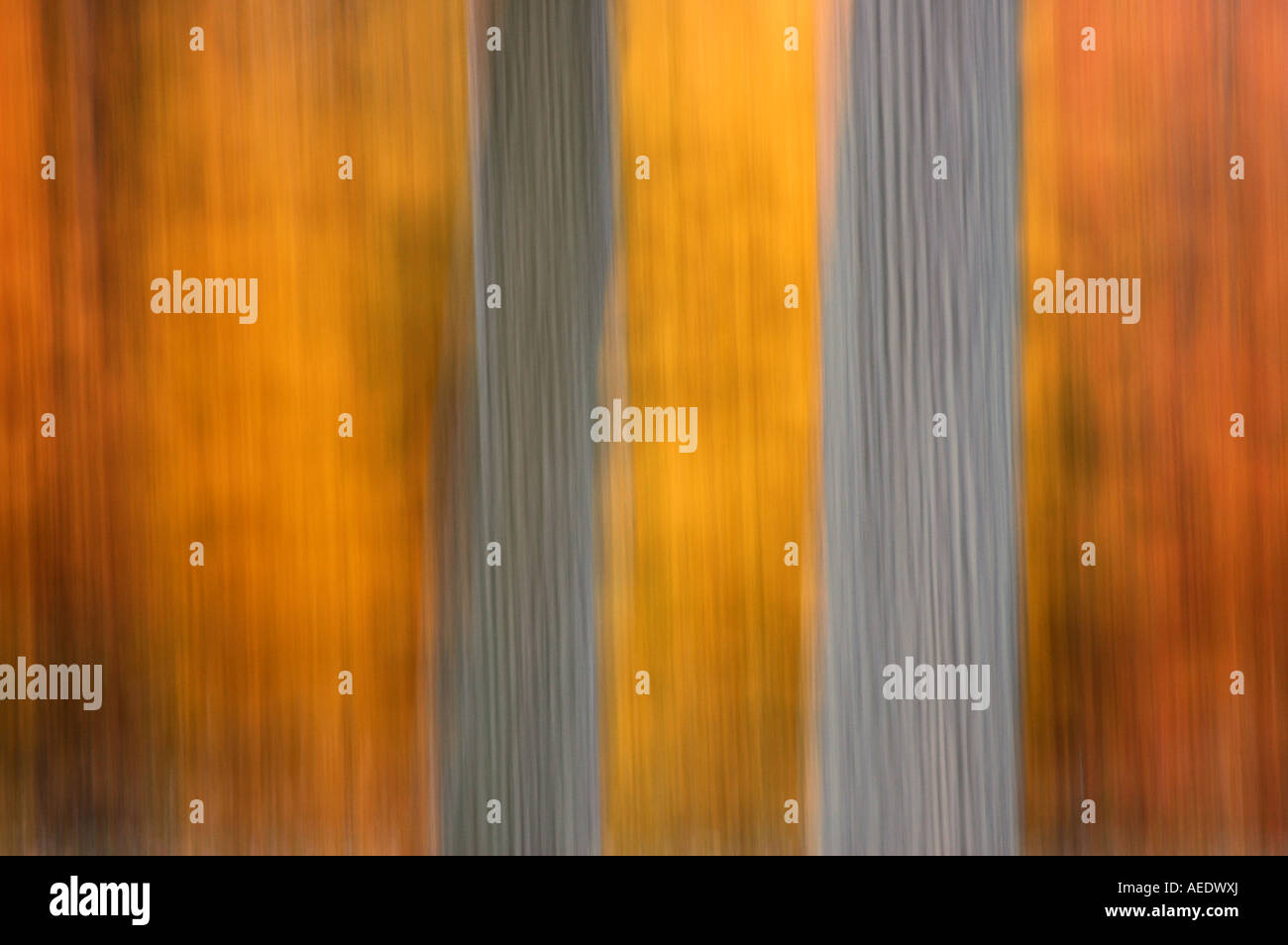 Autumn Abstract, Ohio Stock Photo - Alamy