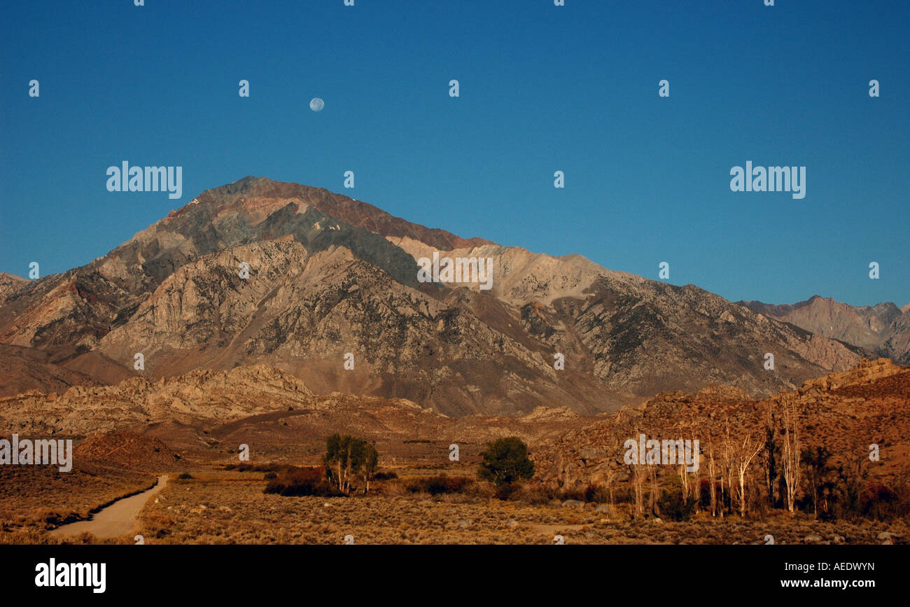 Mt Tom, California Stock Photo - Alamy