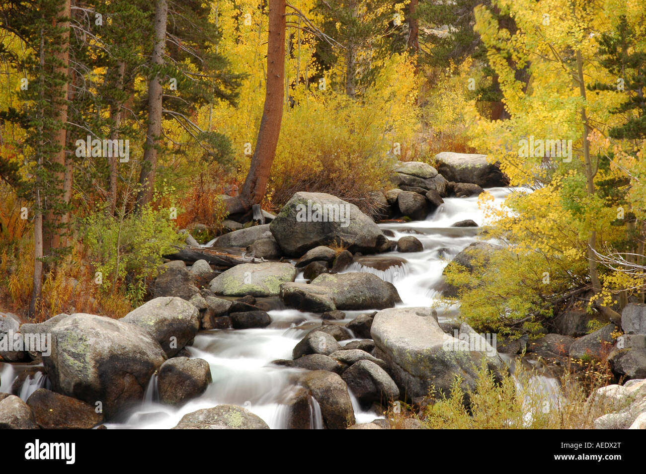 Sierra Mountain Stream, California Stock Photo - Alamy