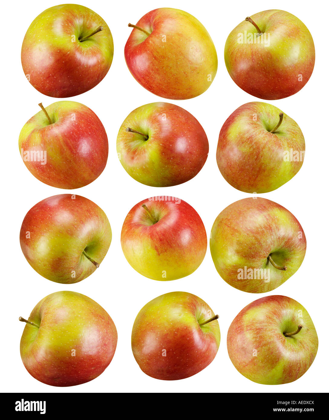 Twelve apples hi-res stock photography and images - Alamy