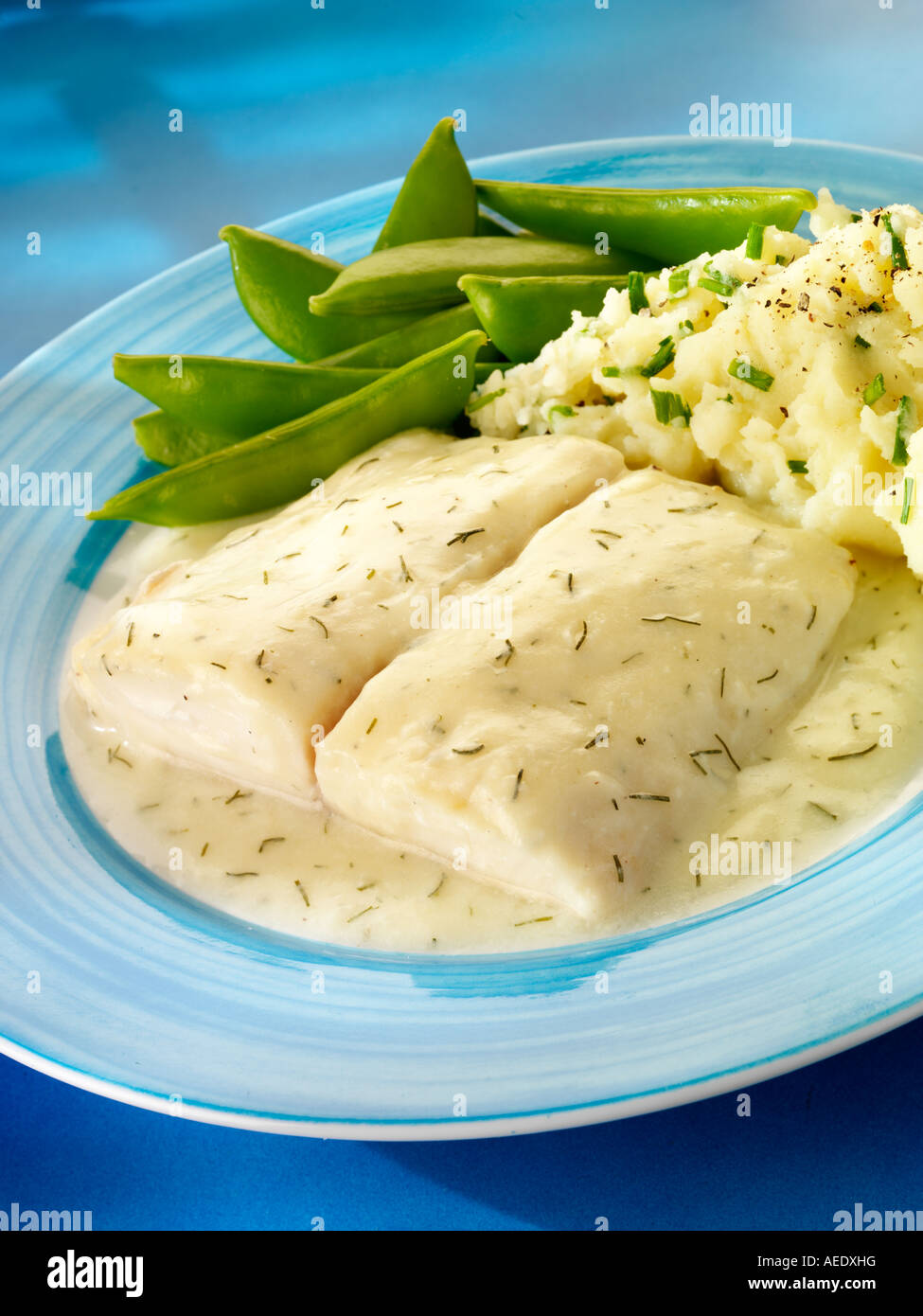 HADDOCK AND BECHAMEL SAUCE Stock Photo - Alamy