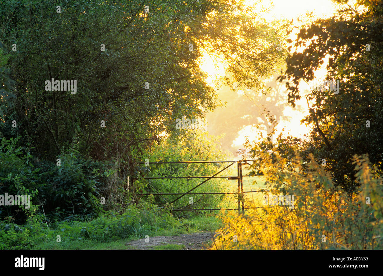 Farming and uk and gate and atmospheric hi-res stock photography and ...