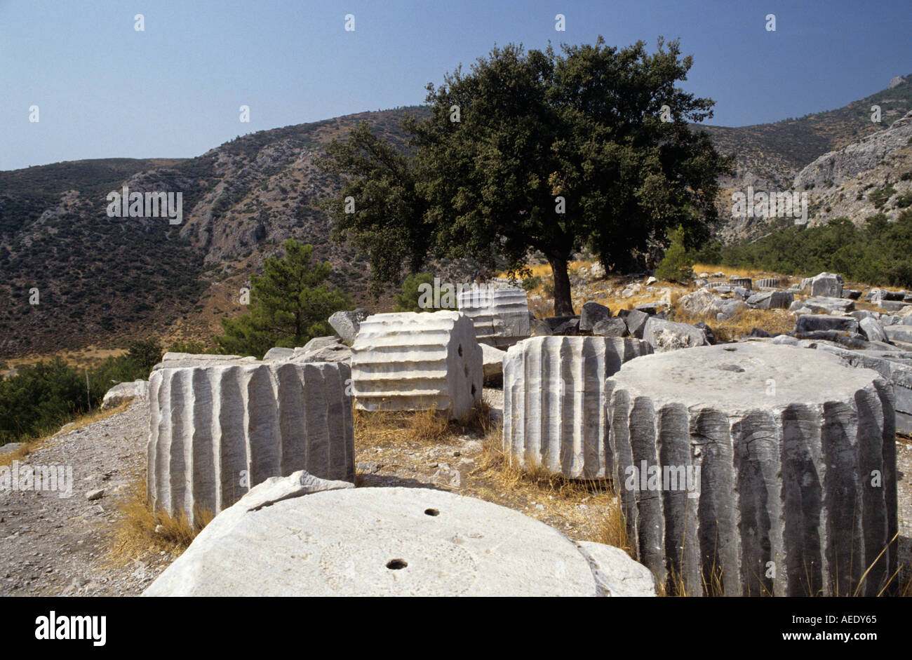 Ancient Priene Near Ephesus Turkey Stock Photo - Alamy