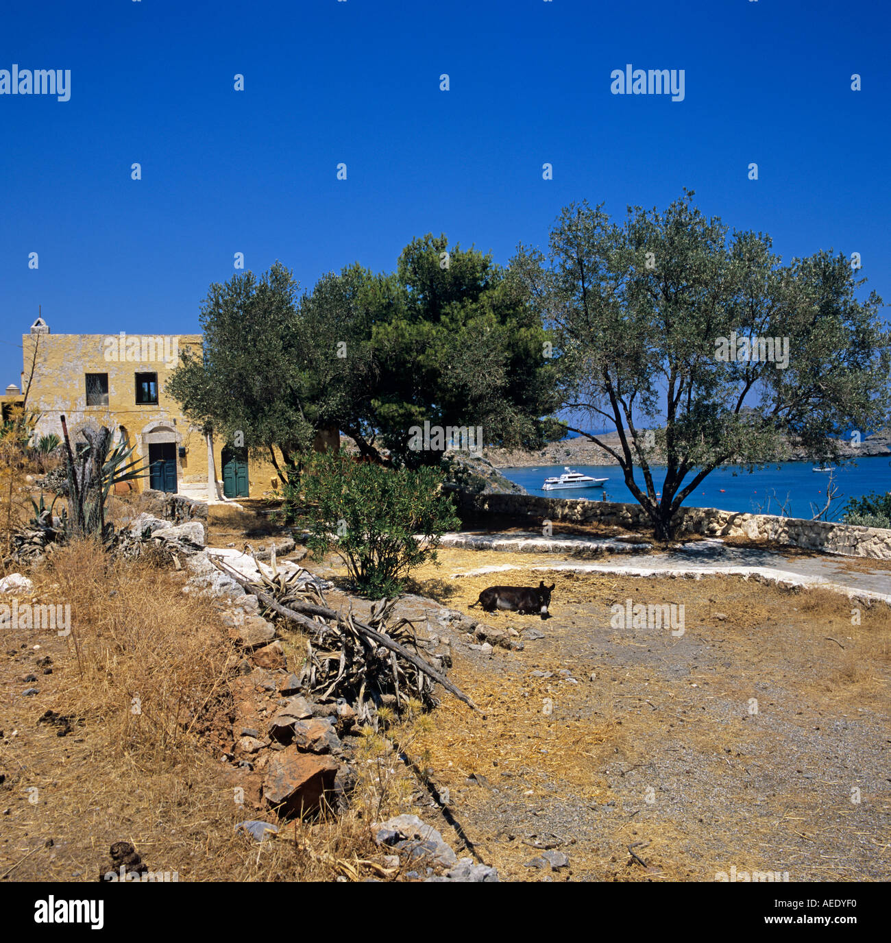 Manolis hi-res stock photography and images - Alamy