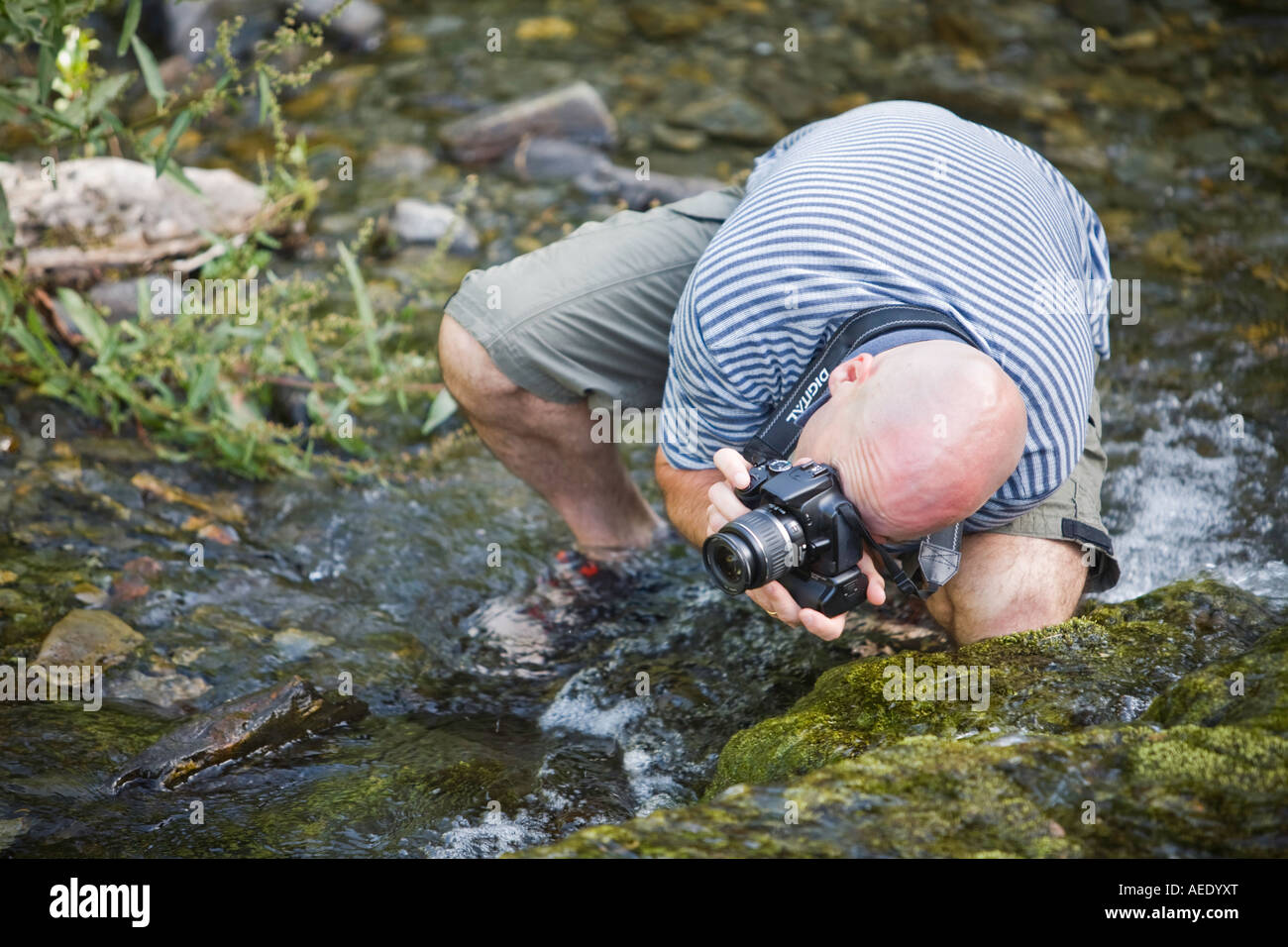Man taking a photograph in a river Stock Photo - Alamy