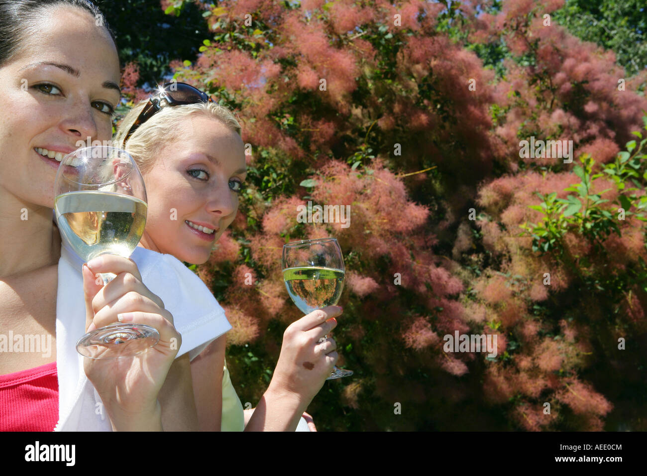 Young Women Drinking Wine Model Released Stock Photo - Alamy