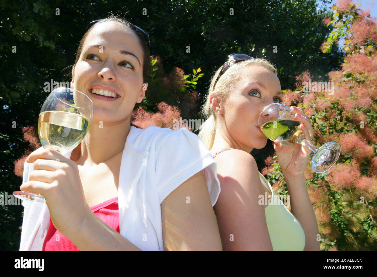 Two young women with alcoholic drinks hi-res stock photography and ...