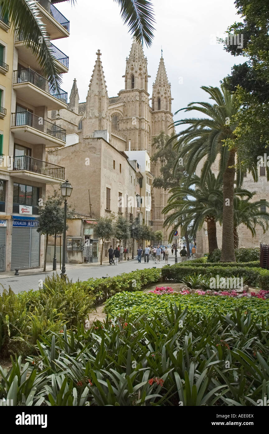 A vertical picture showing some of the features of Palma Majorca Stock ...