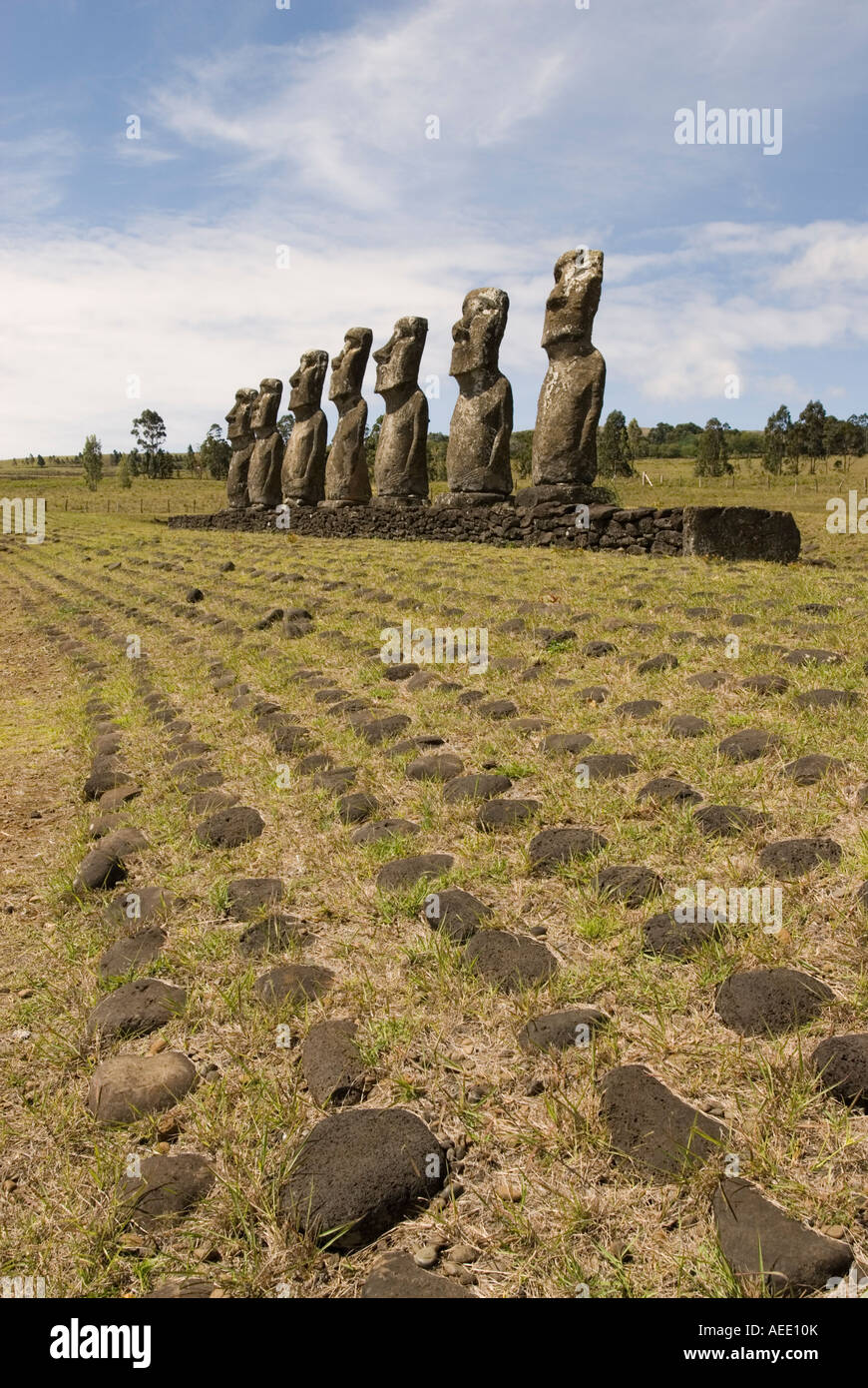 The seven Moai of Ahu Akivi on Easter Island Stock Photo - Alamy