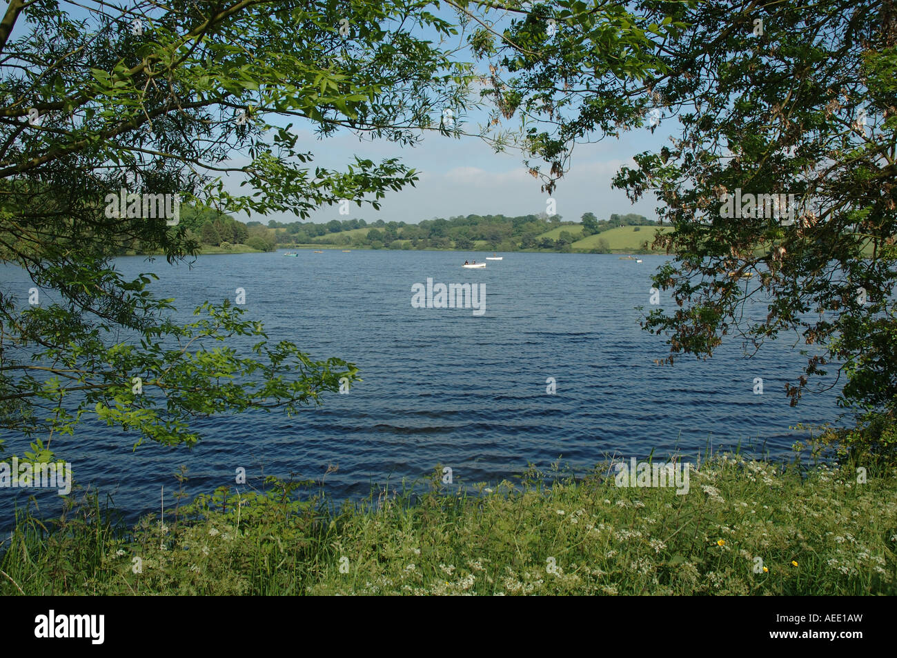 Thornton reservoir trees uk hi-res stock photography and images - Alamy