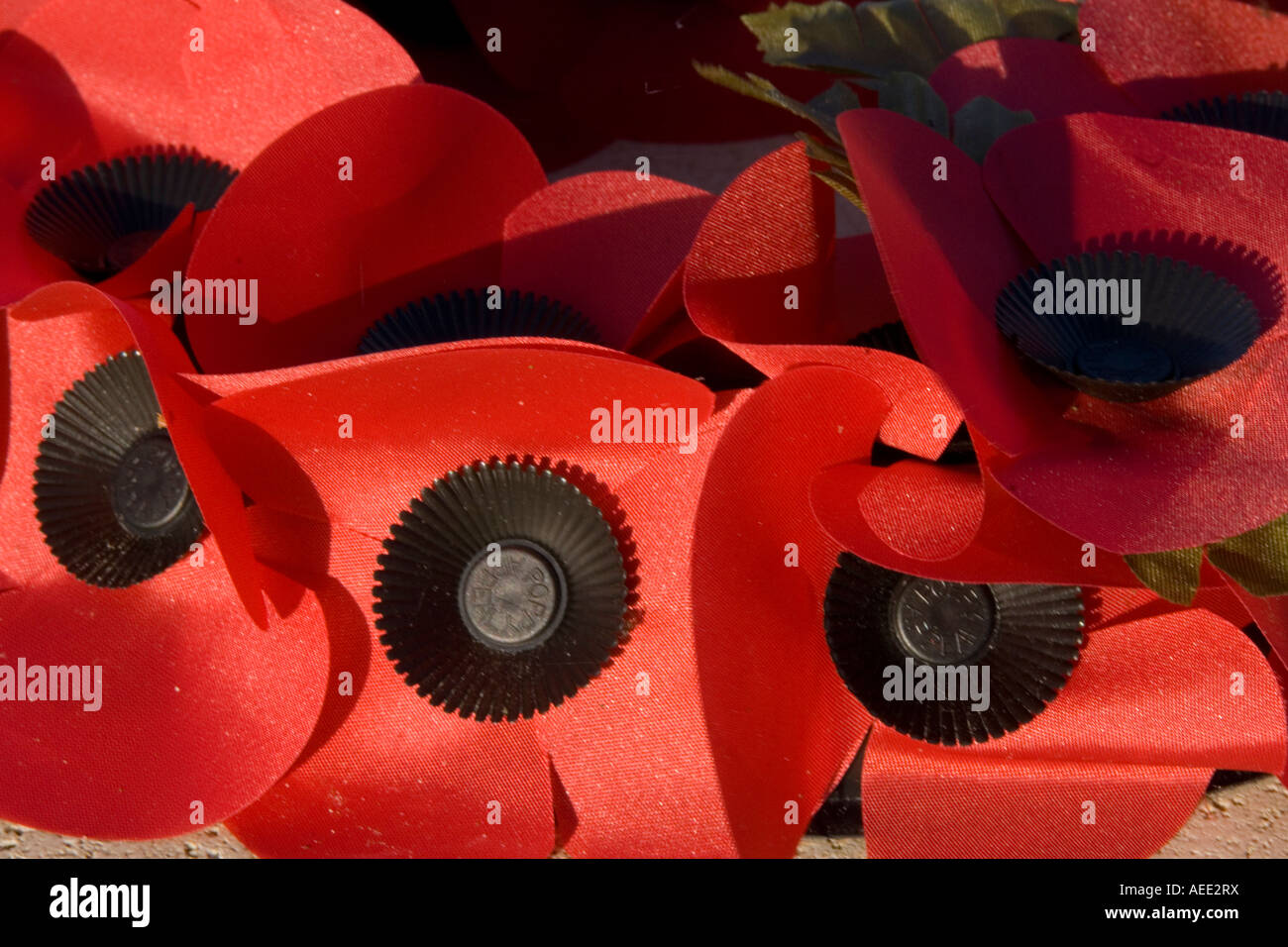 Poppy reef hi-res stock photography and images - Alamy