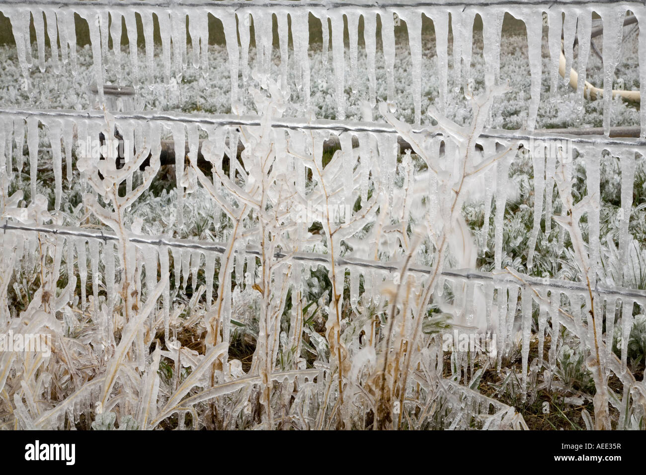 Frozen Irrigation Sprinkler System near Bryce Canyon National Park ...