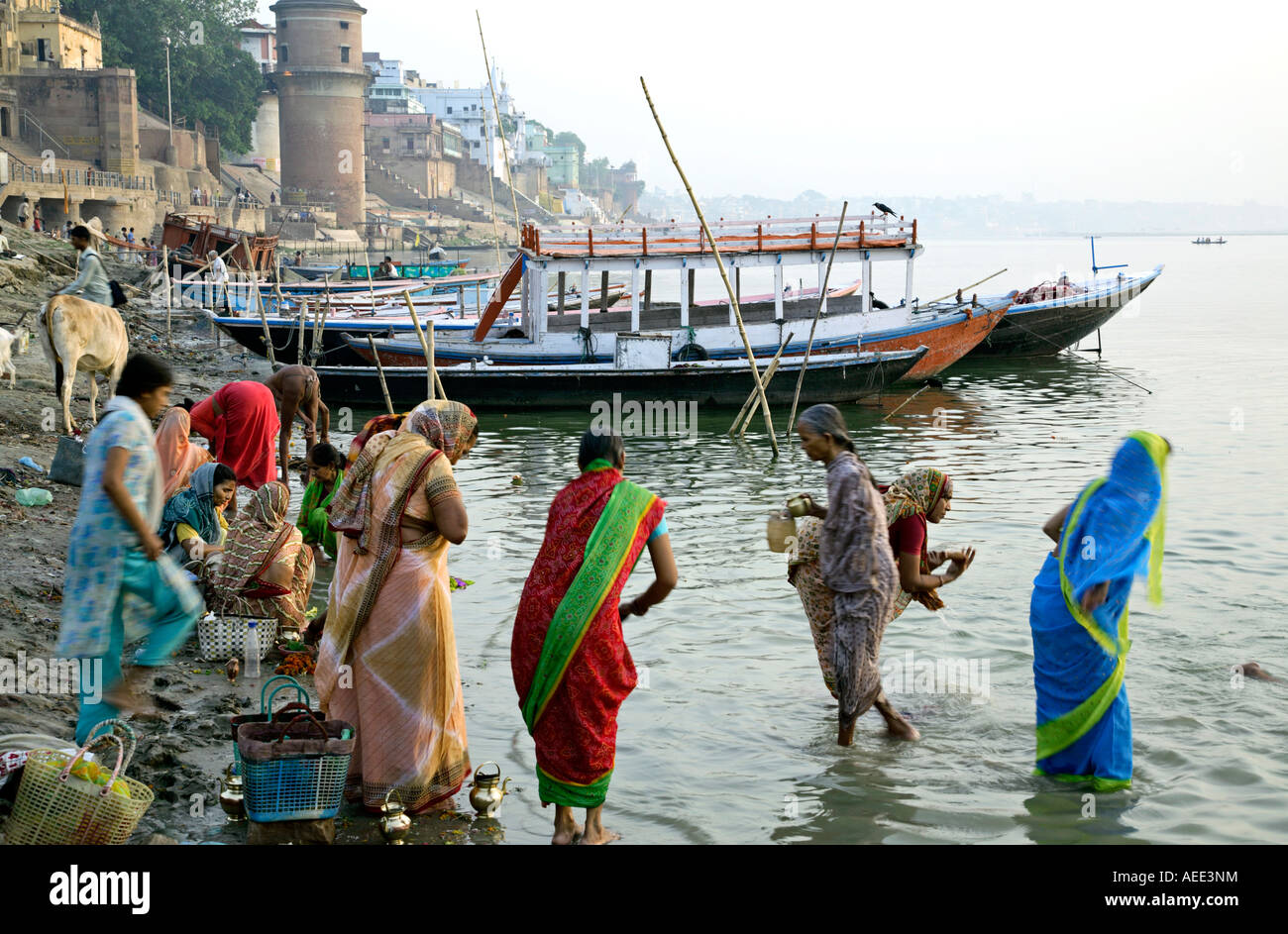 Ritual morning bath. Assi Ghat. Ganges river. Varanasi. India Stock ...
