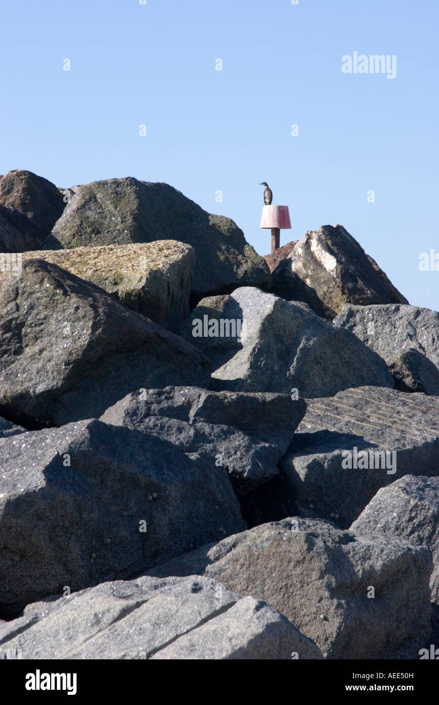 Sea defence scheme consisting of piles of large rocks and boulders ...