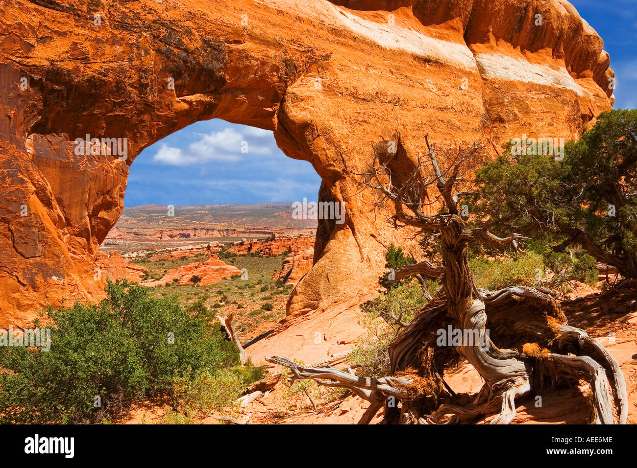 Scenic of Arches National Park Utah showing the Partition Arch ...