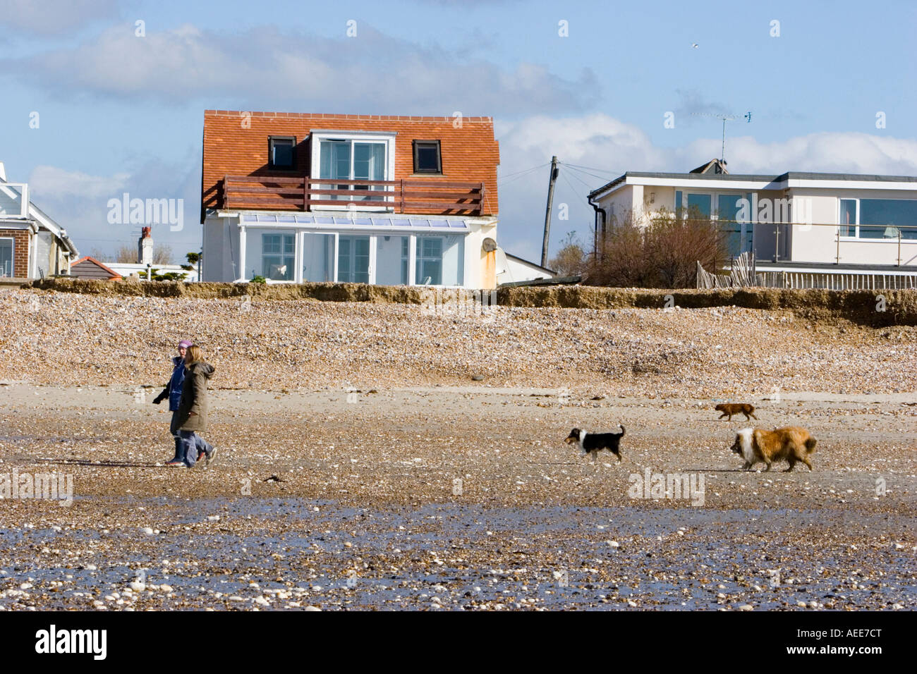 Elmer sands hi-res stock photography and images - Alamy