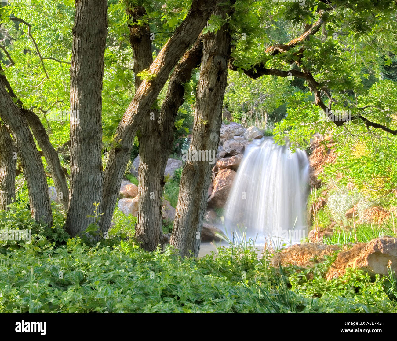 The waterfall at Red Butte Gardens part of the University of Utah in ...