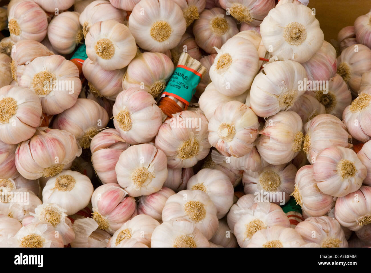 Garlic at a French farmers market Stock Photo - Alamy