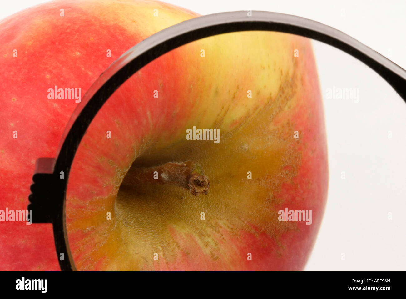 Viewing an apple close up through a magnifying glass Stock Photo - Alamy