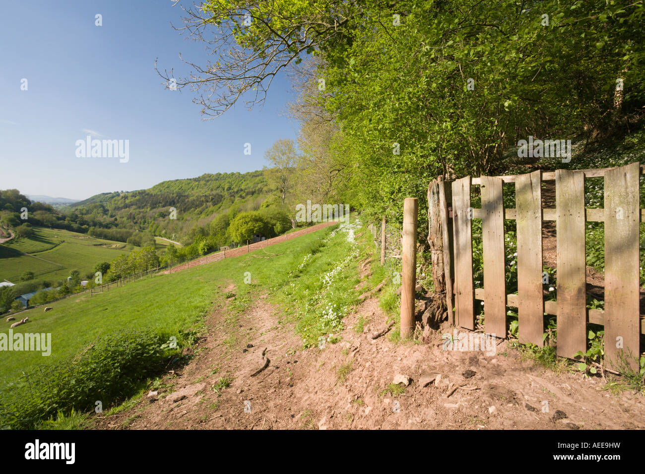 Dean paths hi-res stock photography and images - Alamy