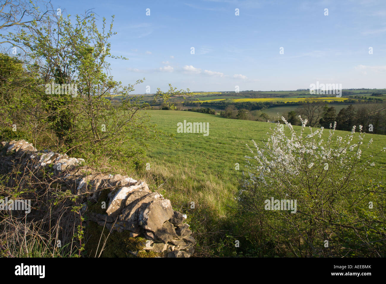River Windrush valley near Naunton the Cotswolds Gloucestershire ...