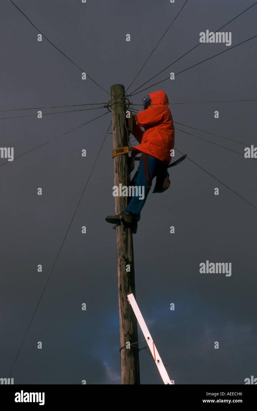 Telephone repairman climbing telephone pole hi-res stock photography ...
