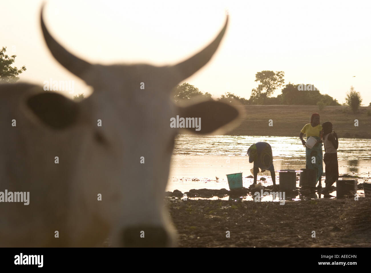 Women fill containers of water at a dam Stock Photo - Alamy