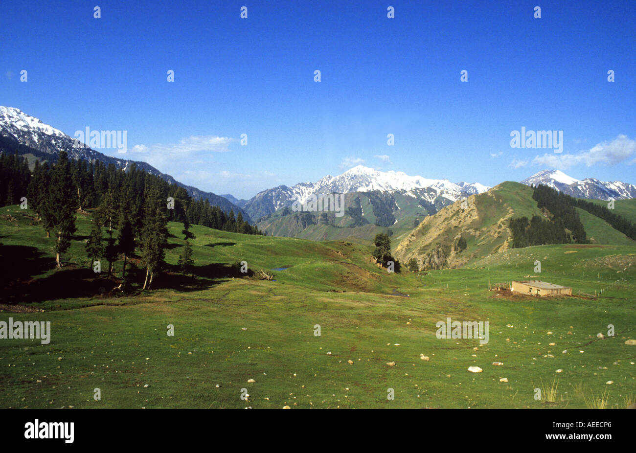 View of the Tian Shan Mountains in Western China. Tian Shan means ...