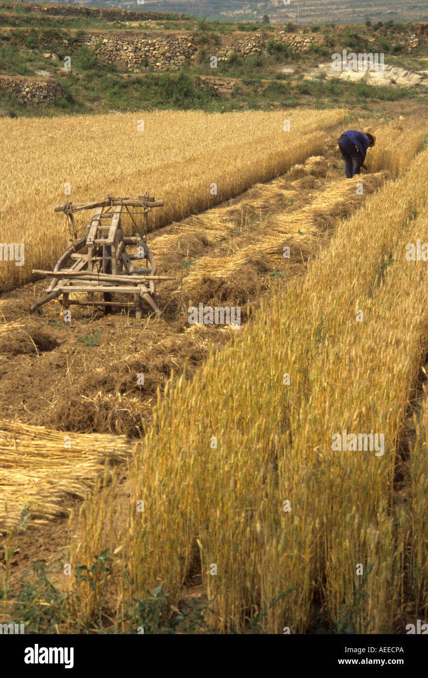 Ploughing tools hi-res stock photography and images - Alamy