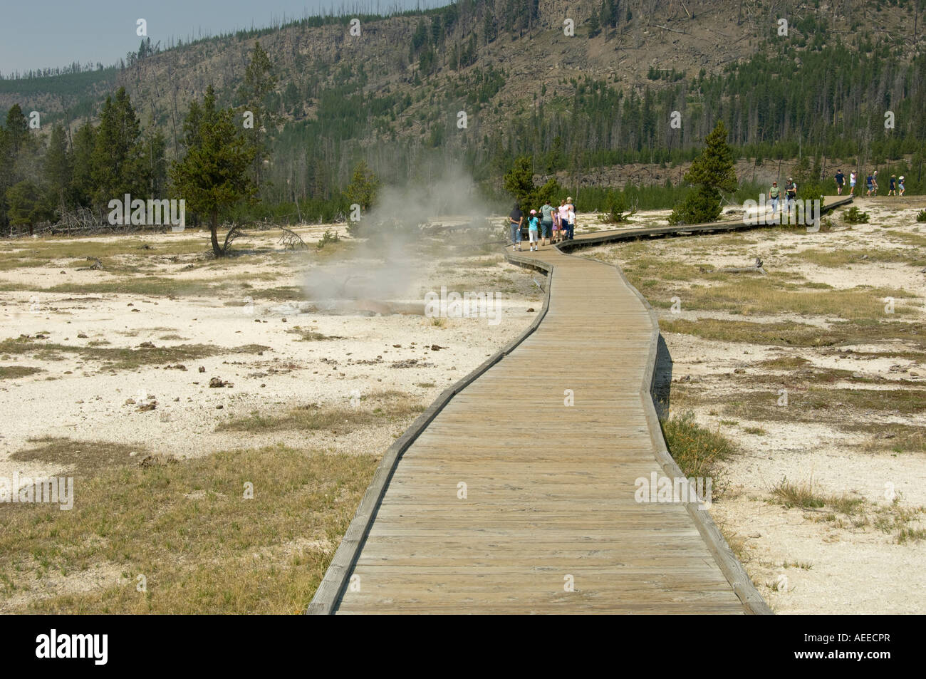 Wood walkway at Biscuit Basin, Yellowstone National Park Stock Photo ...