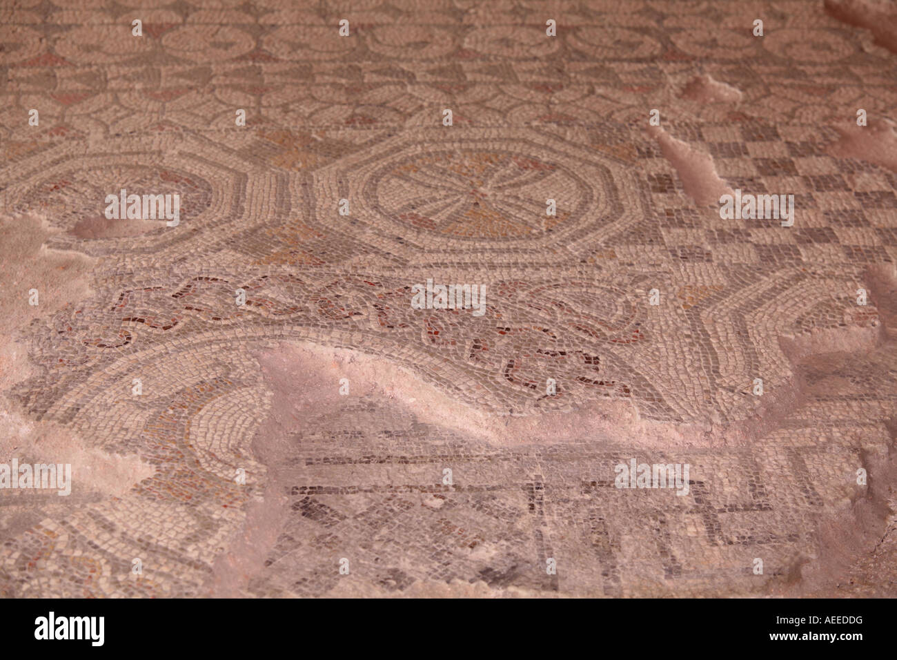 Roman mosaic medusa hi-res stock photography and images - Alamy