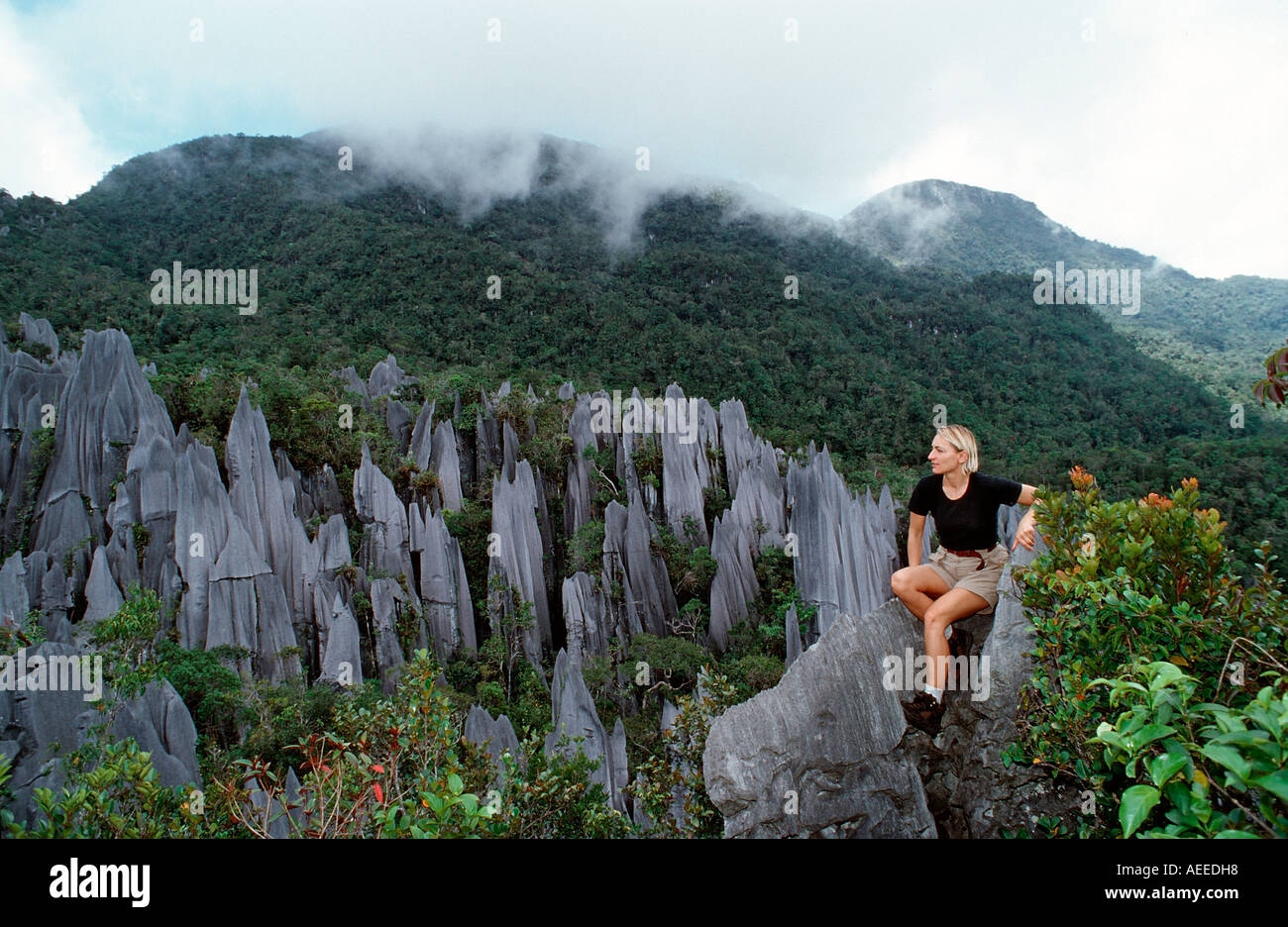 Pinnacles gunung mulu borneo hi-res stock photography and images - Alamy