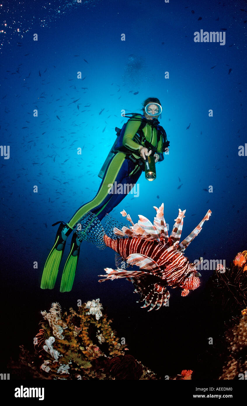 Lionfish and scuba diver Pterois volitans Bali Tulamben Indian Ocean ...