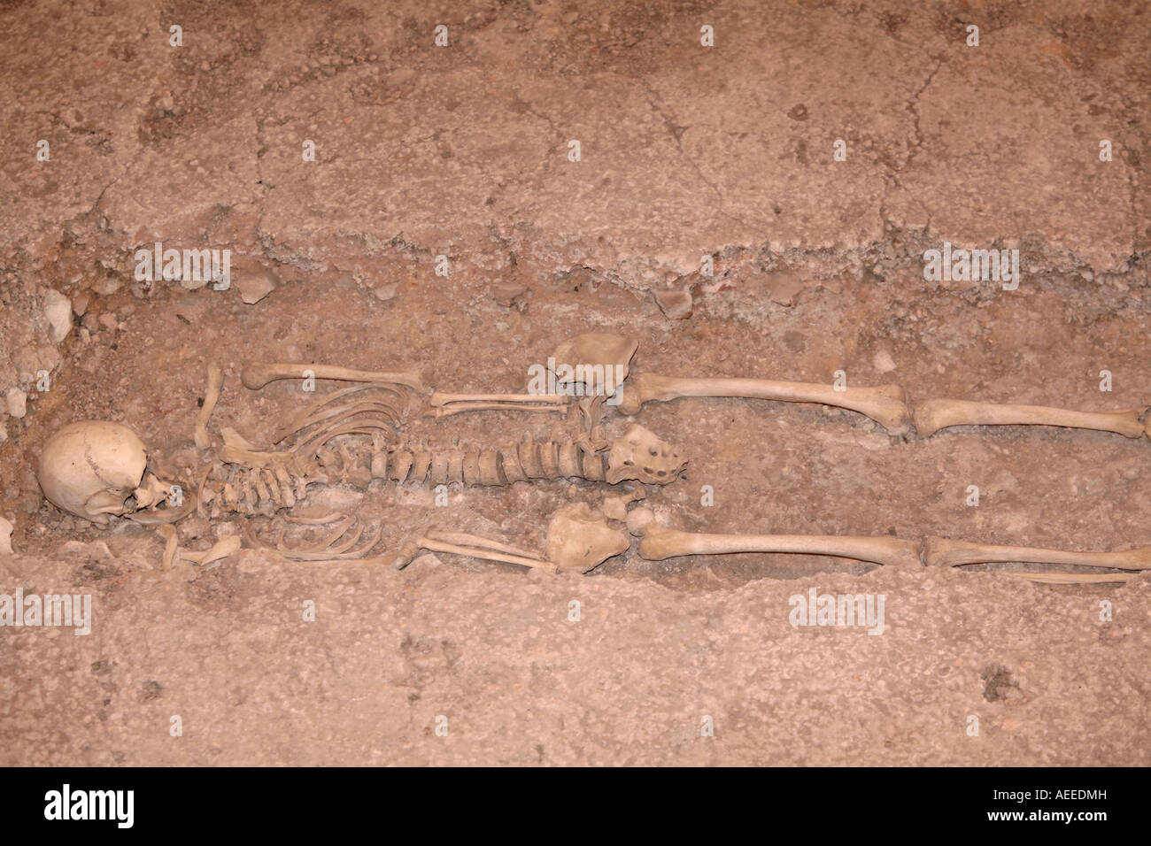 Human skeleton in grave excavated at Fishbourne Roman Palace, West ...