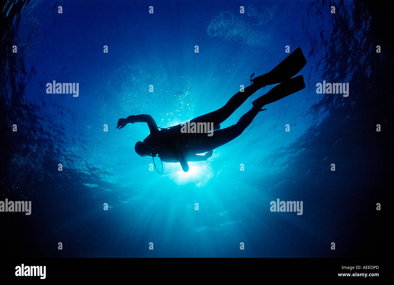 Scuba diver shadow Bali Indian Ocean Indonesia Stock Photo - Alamy