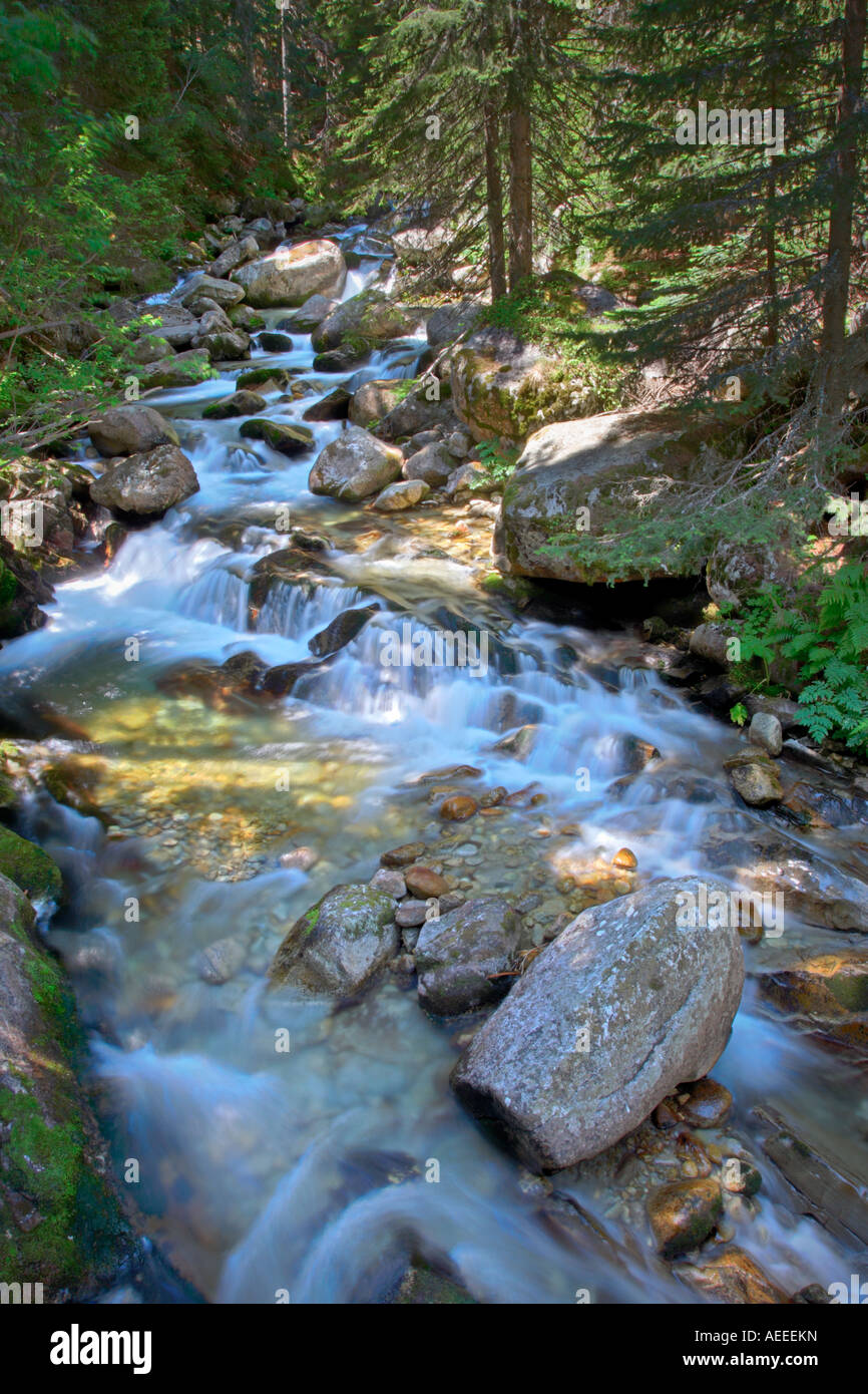 River rushing through the forest Stock Photo - Alamy