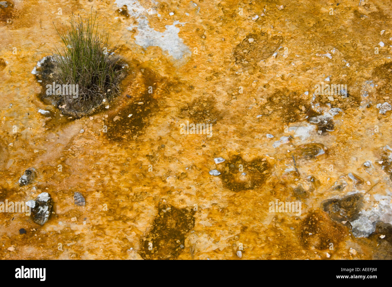 Colored Runoff from the Sapphire Pool Stock Photo - Alamy