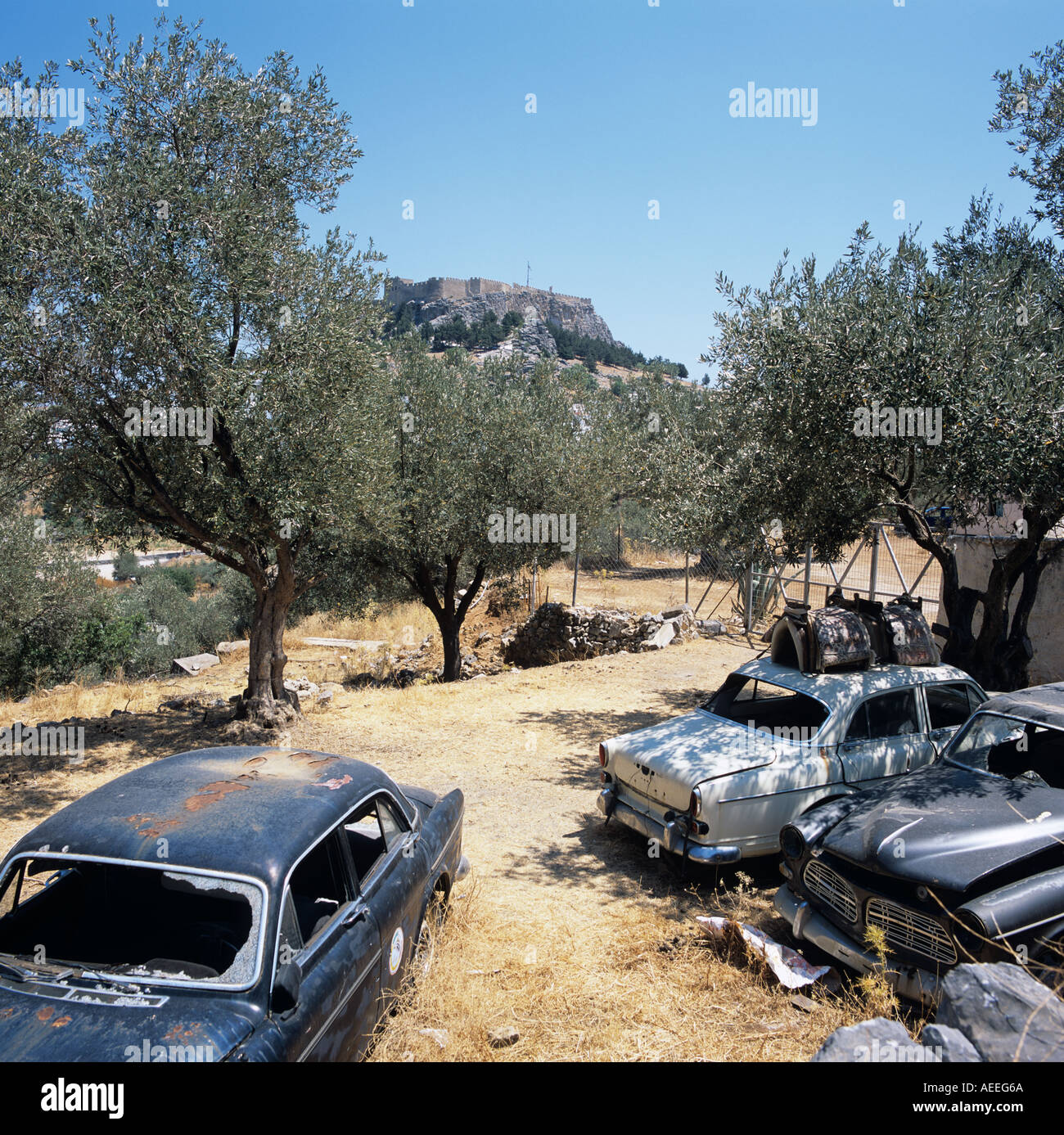 Olive trees yard hi-res stock photography and images - Alamy