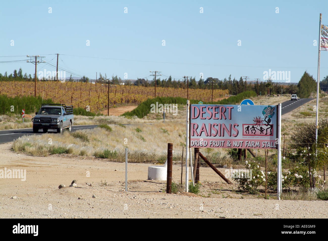 Raisin farming hi-res stock photography and images - Alamy