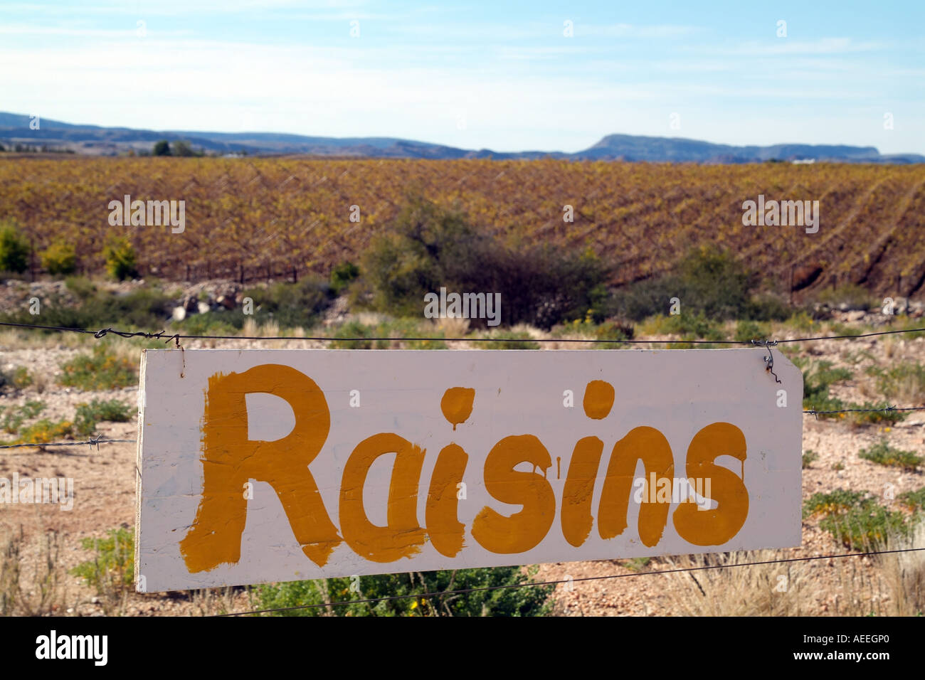 Raisin farming hi-res stock photography and images - Alamy