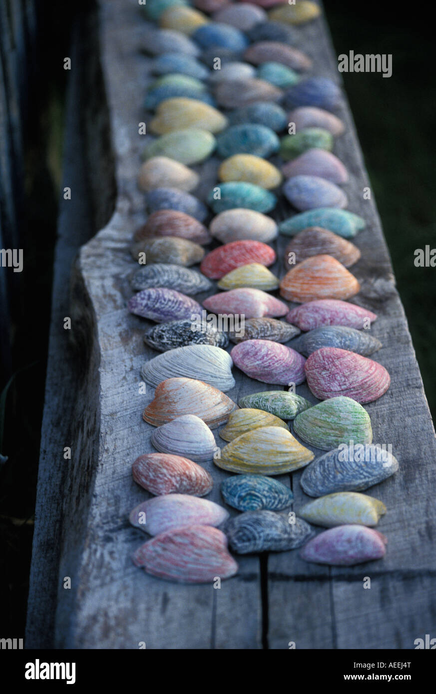 colored shells on bench, tisbury, MA Stock Photo - Alamy