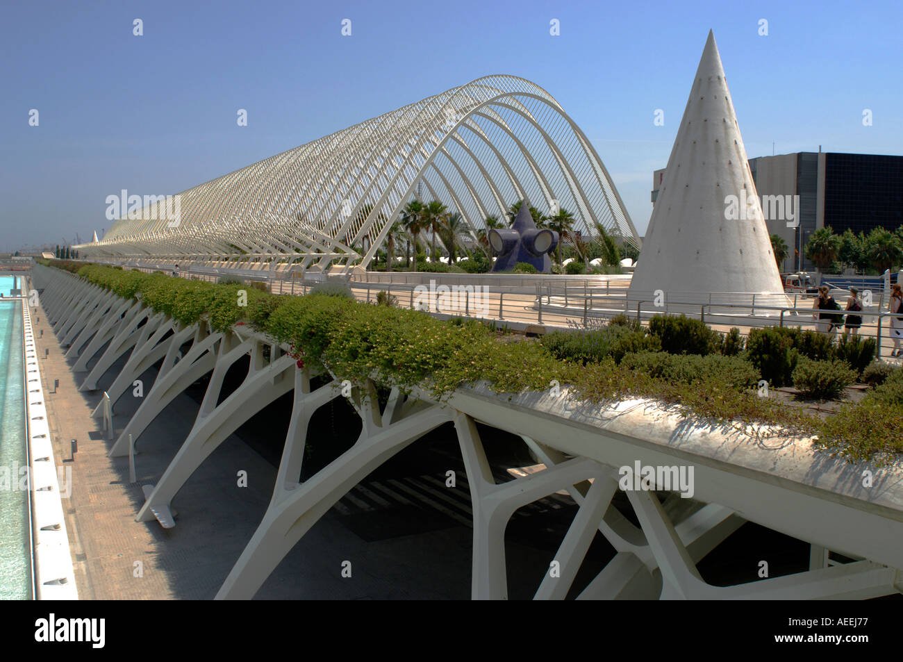 L Umbracle Ciudad de las Artes Y las Ciencias City of the arts and ...