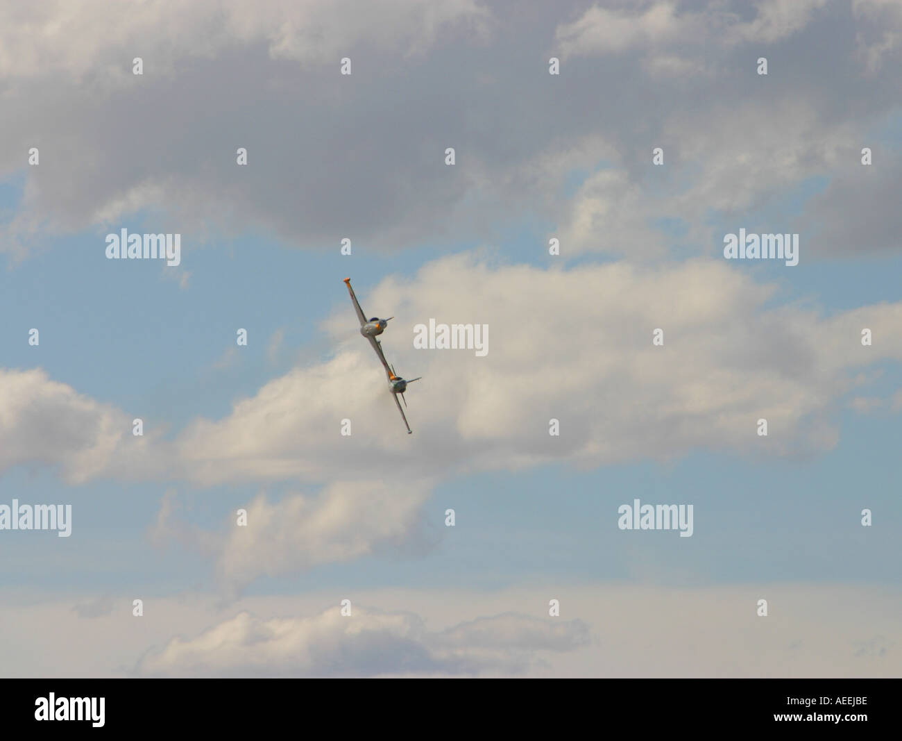 Racing dolphin hi-res stock photography and images - Alamy