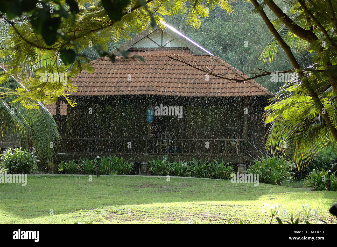 Tropical rain at island resort Stock Photo - Alamy
