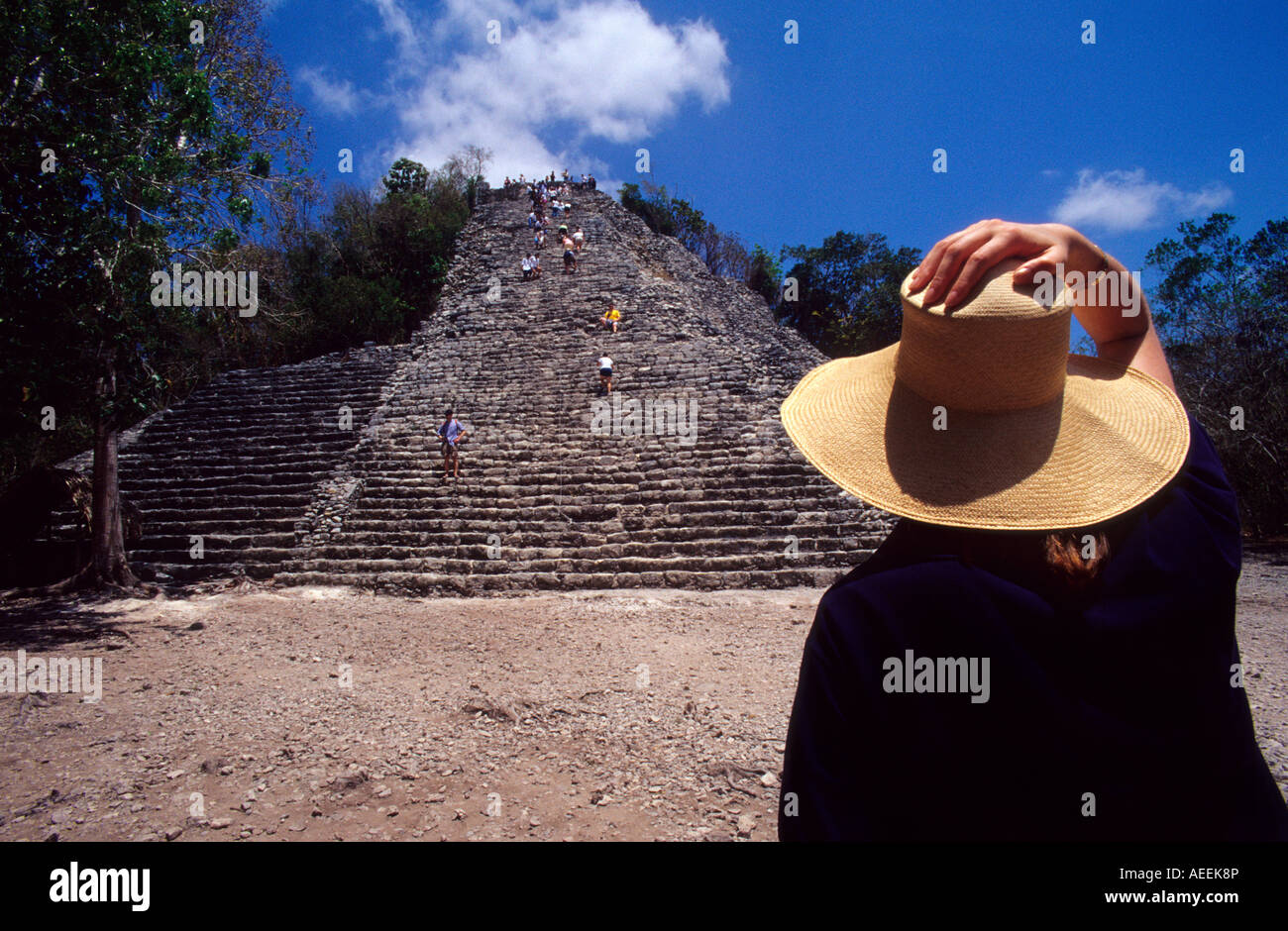 Coba .Nohoch Mul Pyramid . Mayan ruins. Yucatán , Mexico Stock Photo ...
