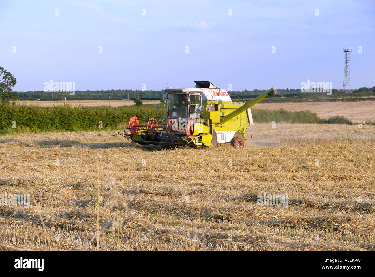 A working farmer making hay while the sun shines and reaping the ...