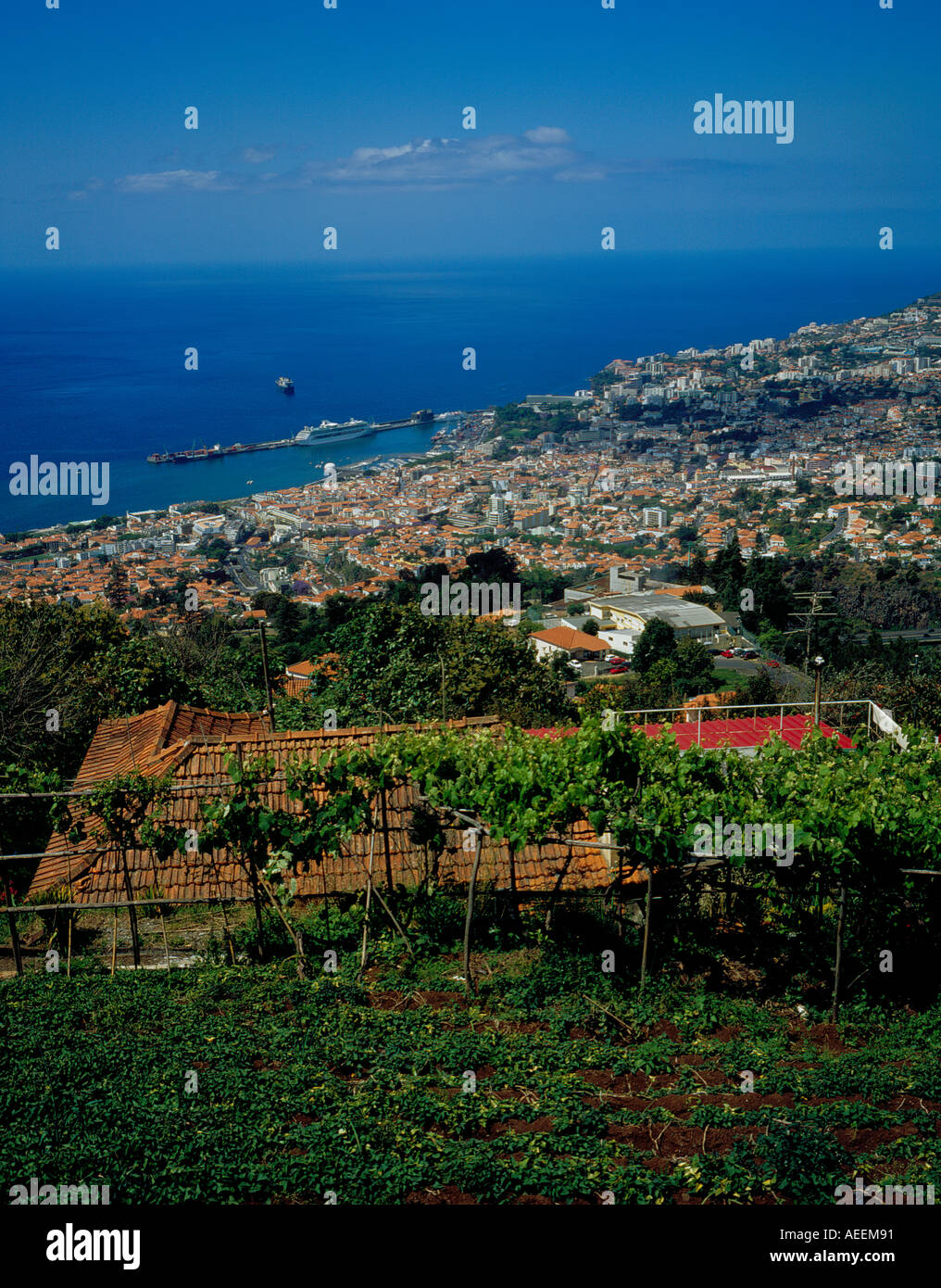 Funchal Madeira Portugal Europe. Photo by Willy Matheisl Stock Photo ...