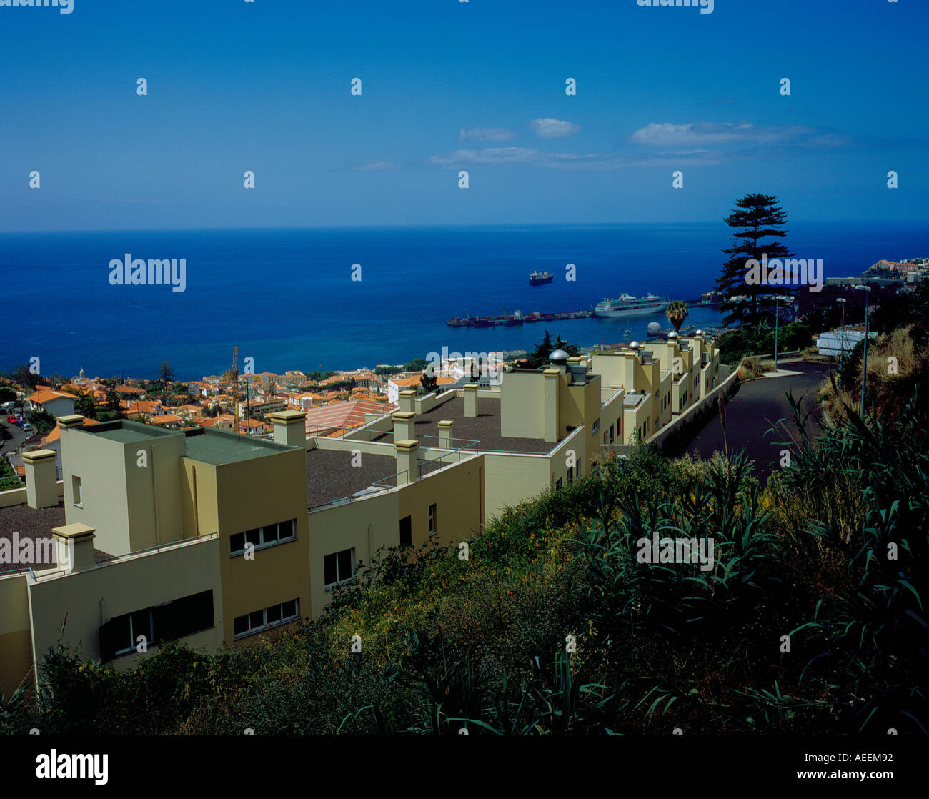 city of Funchal Madeira Portugal Europe. Photo by Willy Matheisl Stock ...