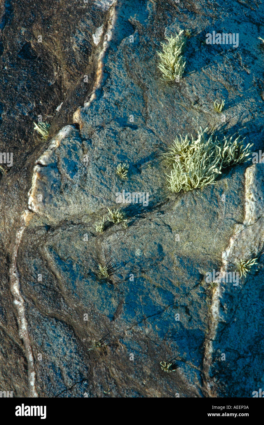 Metamorphic rock County Mayo Ireland Stock Photo - Alamy