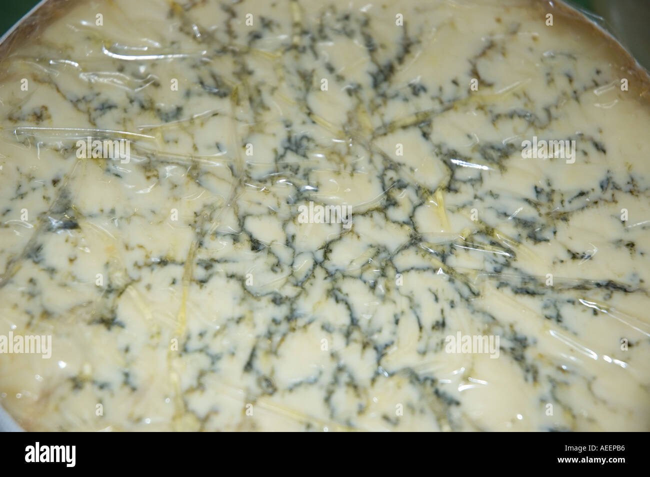 Harrogate blue cheese hi-res stock photography and images - Alamy